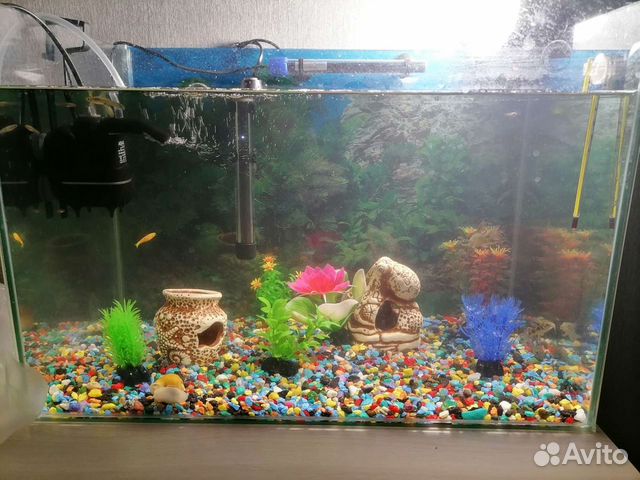 Аквариум