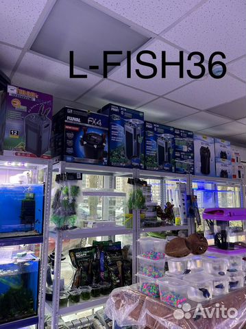 Внешний фильтр - новый (Eheim, Tetra, JBL, fluval)
