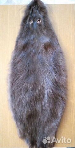 Шкурка животного