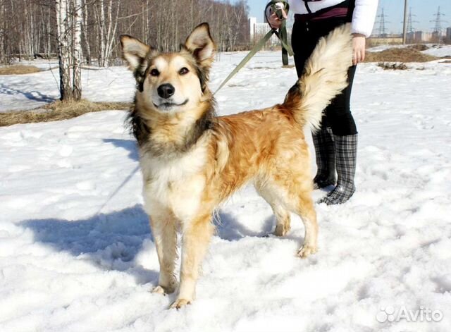 Очаровательный Эрик ищет дом