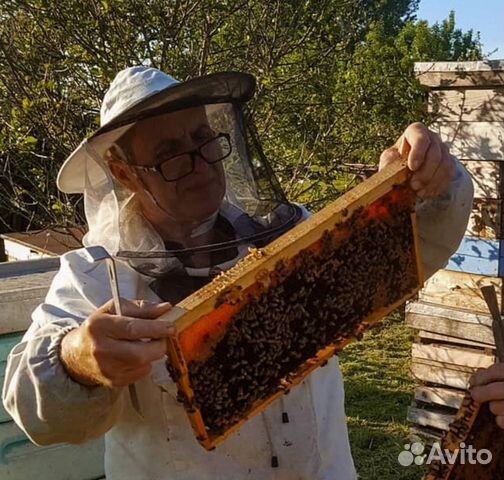 Пчелопакеты