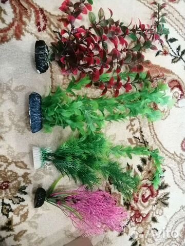 Травка для аквариума