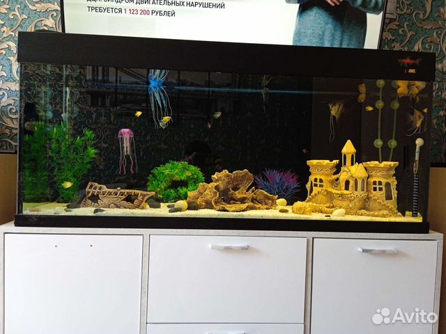 Аквариум с рыбками