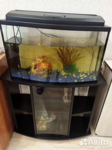 Аквариум с рыбами и тумбой