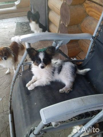 Мальчик - красатульчик