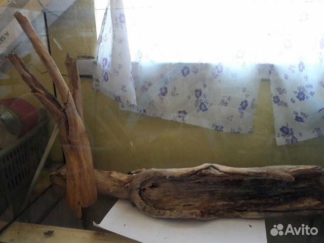 Коряги для оформления аквариума
