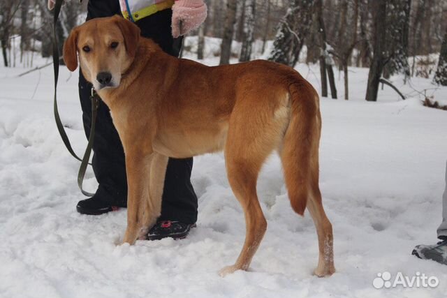 Ронда ждёт вас