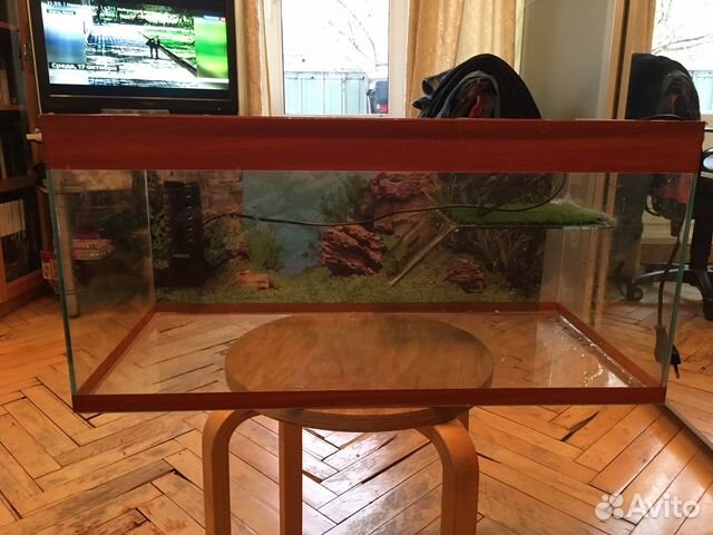 Аквариум для красноухой черепахи