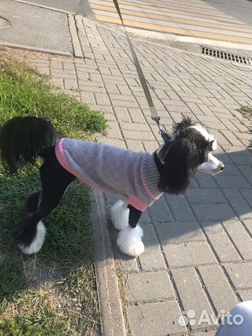 Кхс пуховка в хорошие руки