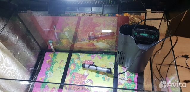 Аквариум (54 литра )