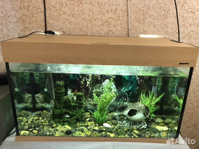 Аквариум в сборе