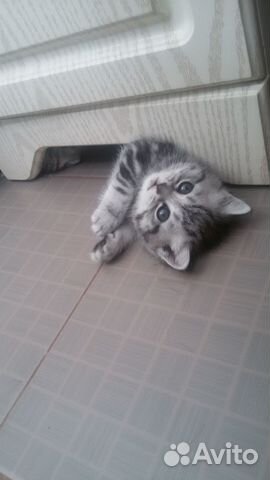 Отличный подарок на 8 марта