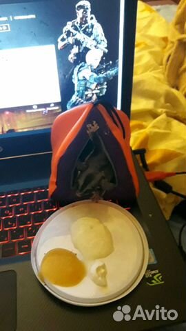 Сахарный поссум девочка + клетка