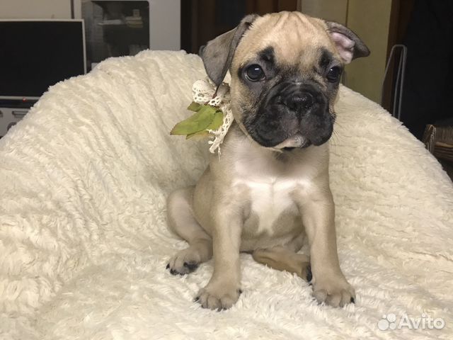 Сладкие французские булички