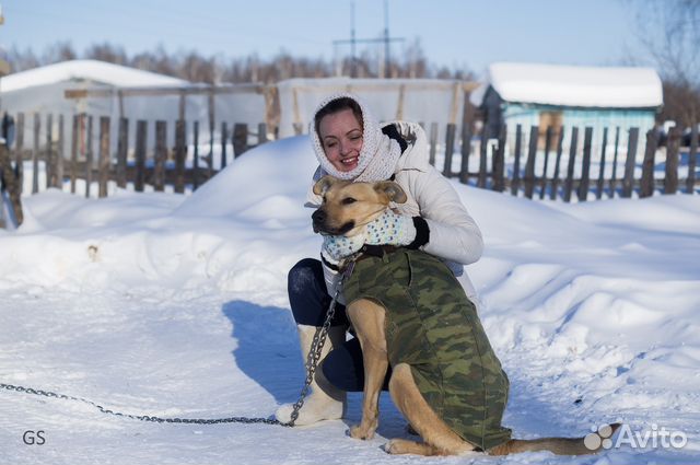 Ищет хозяина