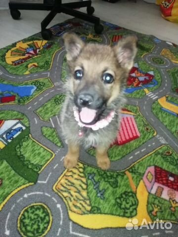 Девочки отказники,1,5мес