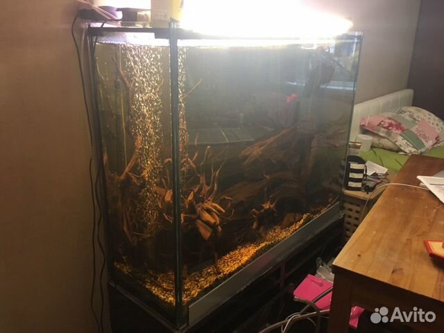 Аквариум интерьерный