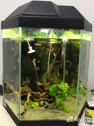 Аквариум 35 литров полная комплектация
