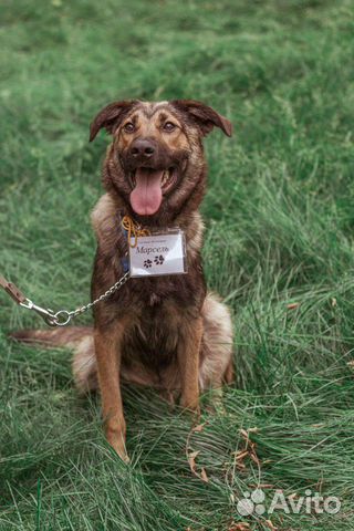 Марсель ищет дом