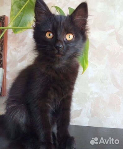 Малышка Наоми в дар