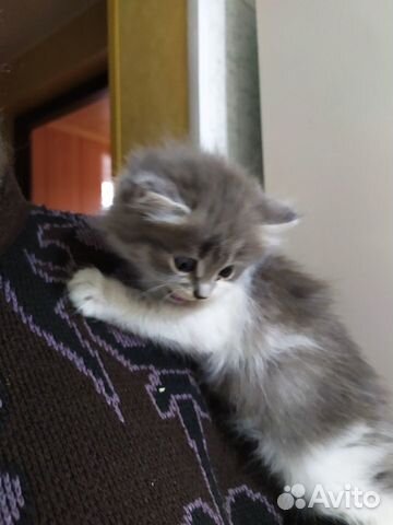 Подарок со счастьем