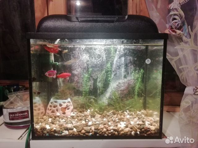 Аквариум 30 л и 8 л
