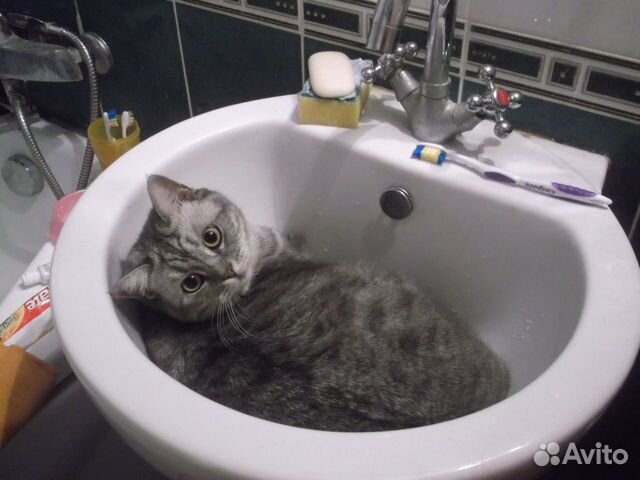 Красотка Марго