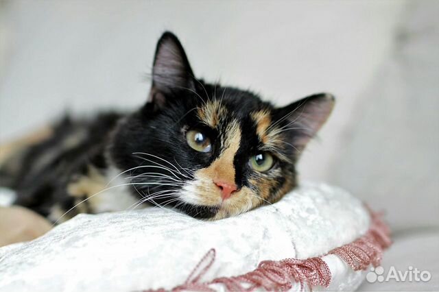 Волшебница Зося