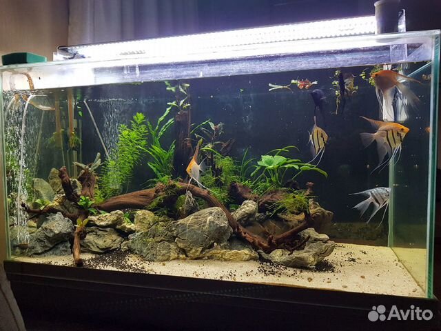 Аквариум 260 л