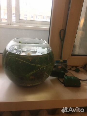 Аквариум 12-15 л