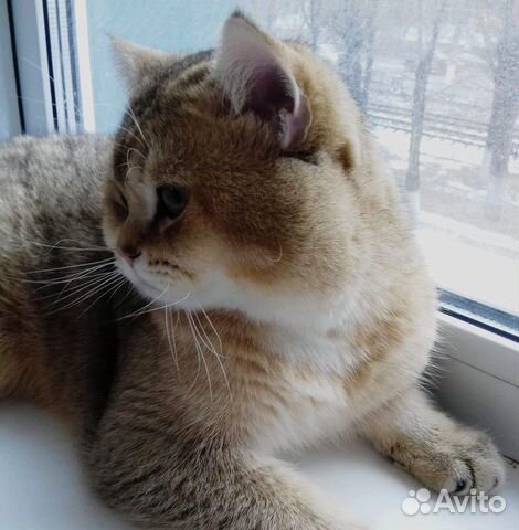 Вязка