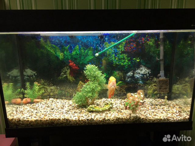 Продаётся аквариум AquaPlus 150 литров