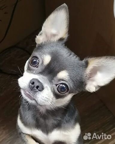 Готовые к продаже и в резерв