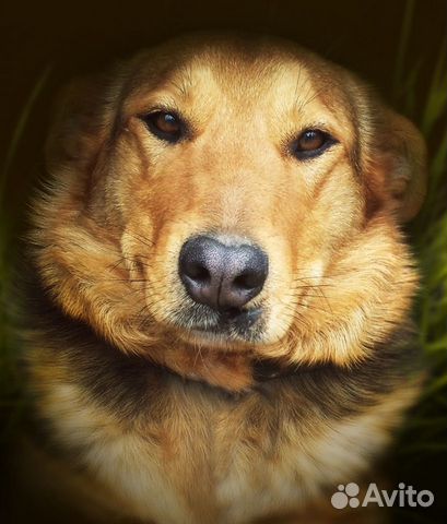 Прошу, умоляю, обратить на меня в-н-и-м-а-н-и-е