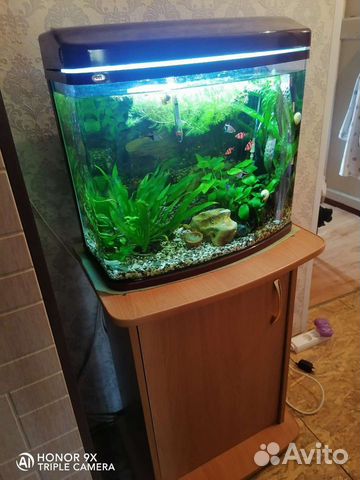 Аквариум готовый