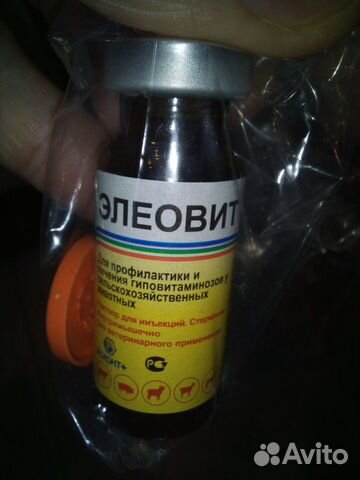 Красноухая черепаха