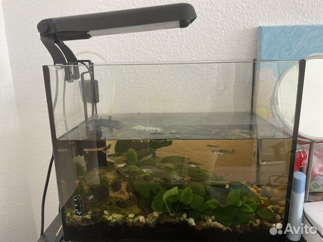 Аквариум