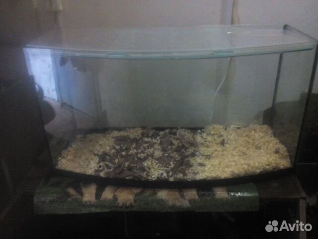Террариум большой