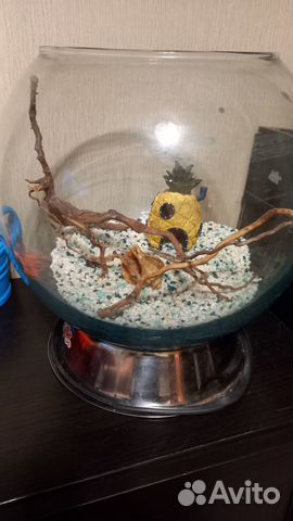 Аквариум
