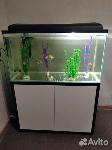Аквариум