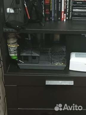 Мышь с клеткой и запасом корма