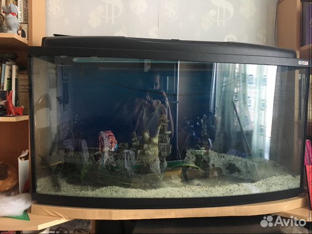 Аквариум на 380л + носос