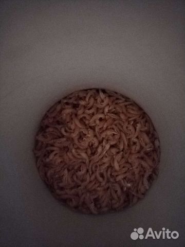 Гаммарус сушёный