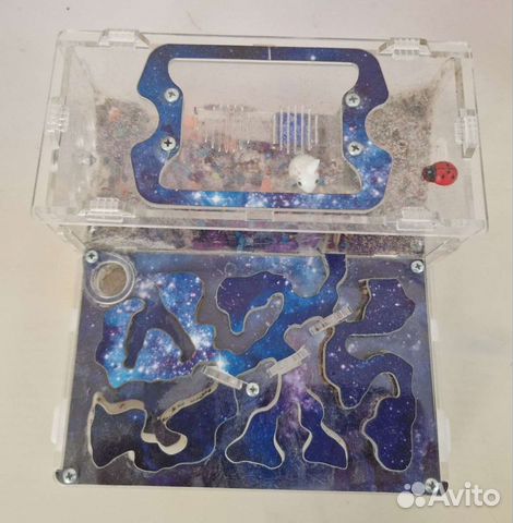 Фурмикарий(муравьи ферма) с муравьями жнецами