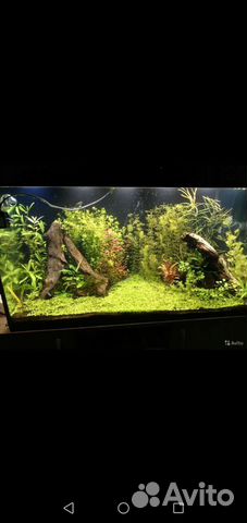 Аквариум 150 литров