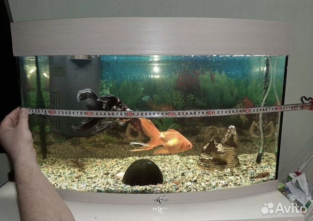 Аквариум