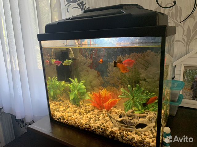 Аквариум 25 литров
