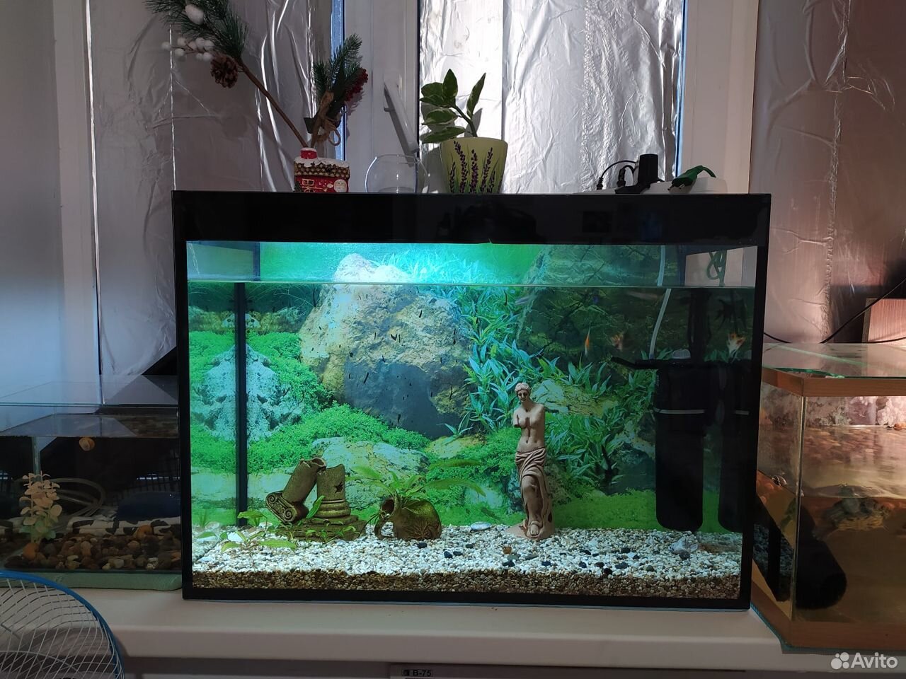 Аквариум, террариум