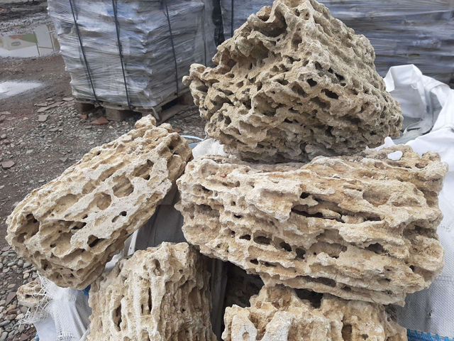 Песчаник ракушечник "миотис"